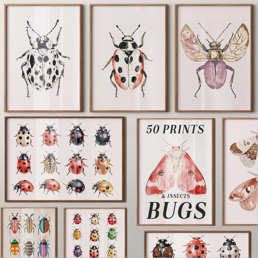 Eclectic Bugs Nursery Wall Art Print - Whimsical Gender Neutral Kids ...