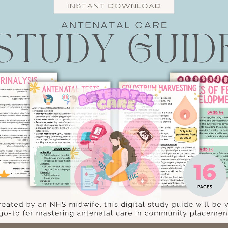 Student Midwife - Etsy UK