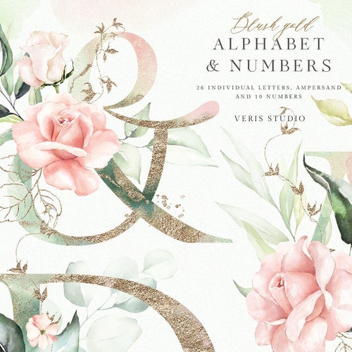 Blush Rose Pink Red Blue Vintage Alphabet Number Floral Flower - Etsy