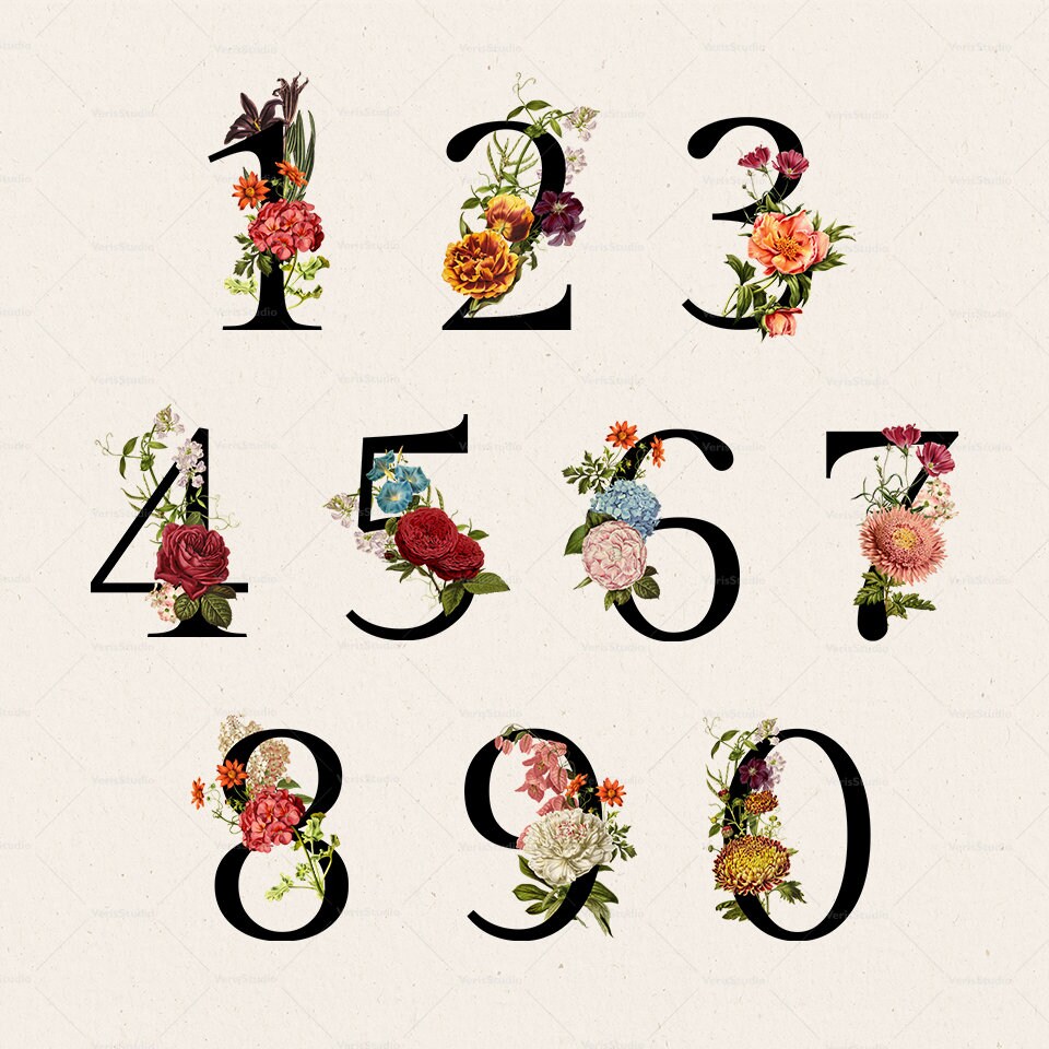 Blush Rose Pink Red Blue Vintage Alphabet Number Floral Flower - Etsy