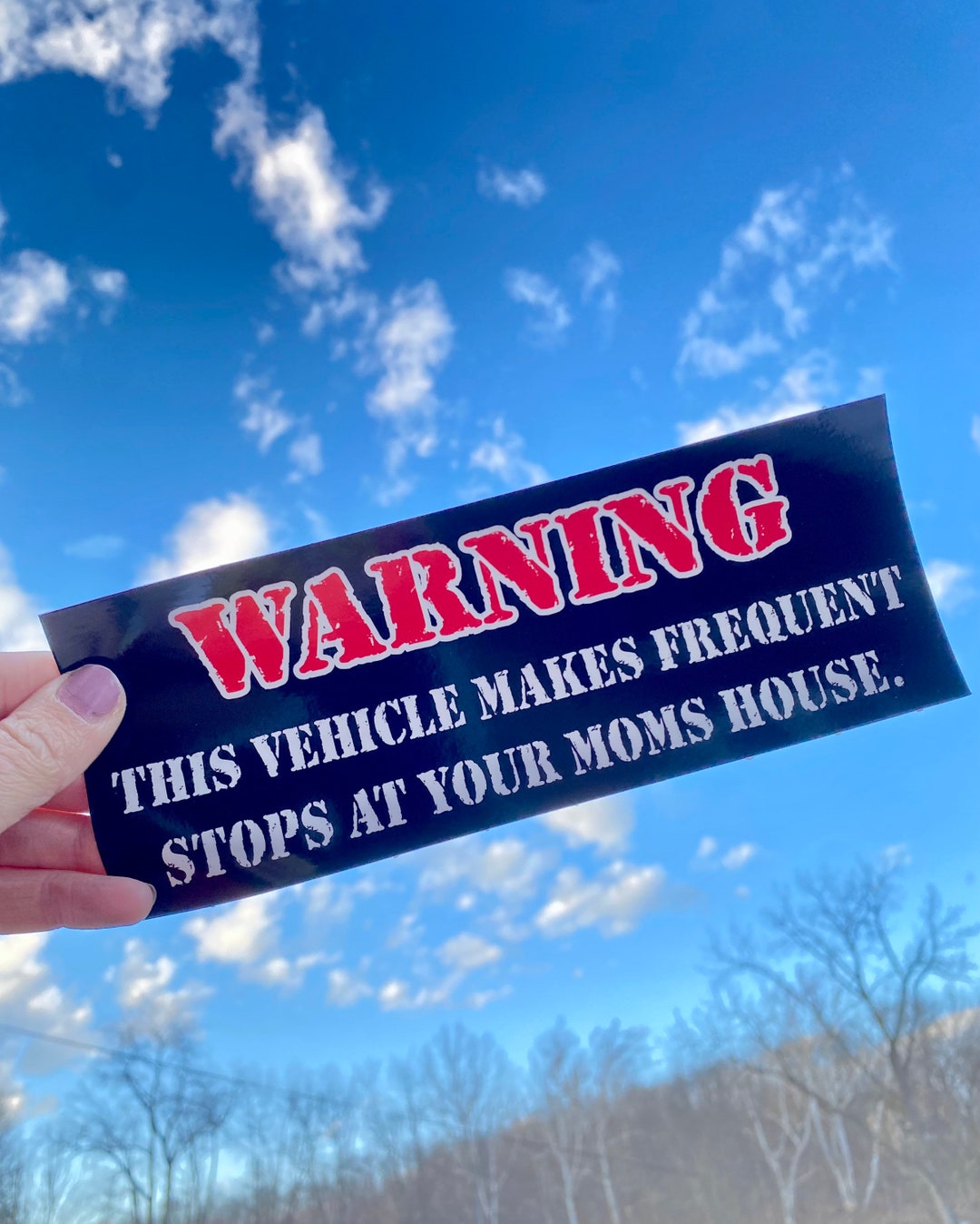 Custom Car Sticker - Funny Sticker - Funny Decal - Cute Sticker - Car ...