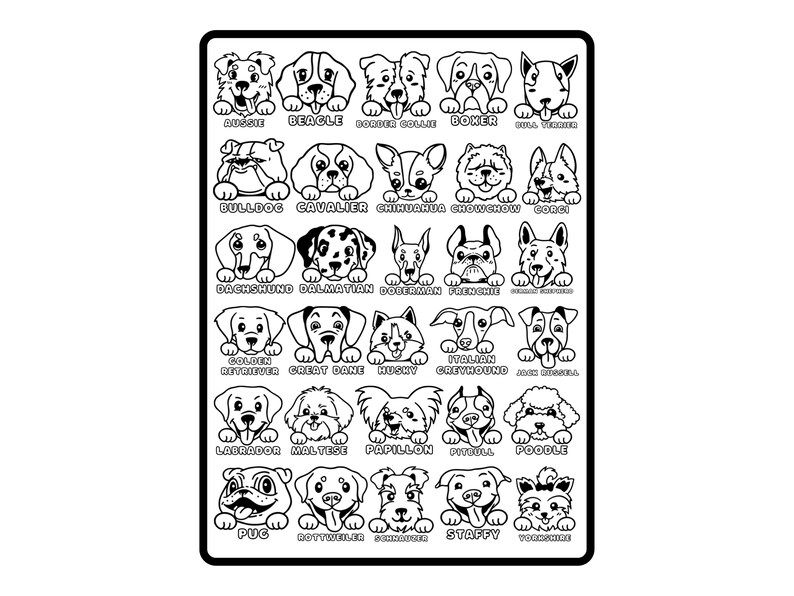 Dog Breeds Coloring Book Pages for Kids Dogs Printable Pages Bundle ...