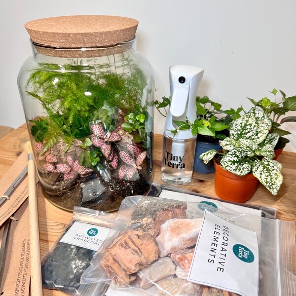 Terrarium - Etsy UK