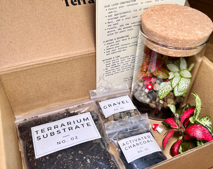 Mini Terrariums - Etsy UK