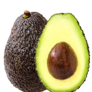 A One Year Hass Avocado Live Fruit Plant in a 4’’ Pot /hass Seedlings ...