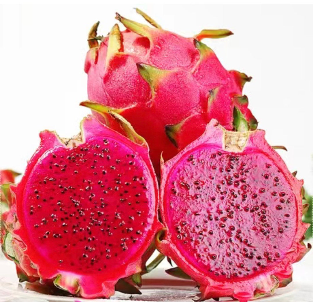 3 Branches of Dragon Fruit Plant Cuttings/whitef Flesh Fruit-/dark Red ...
