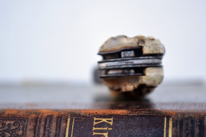 Decora Solingen Germany DBGM Fixed Blade Scout Knife Stag Handle, Multi ...