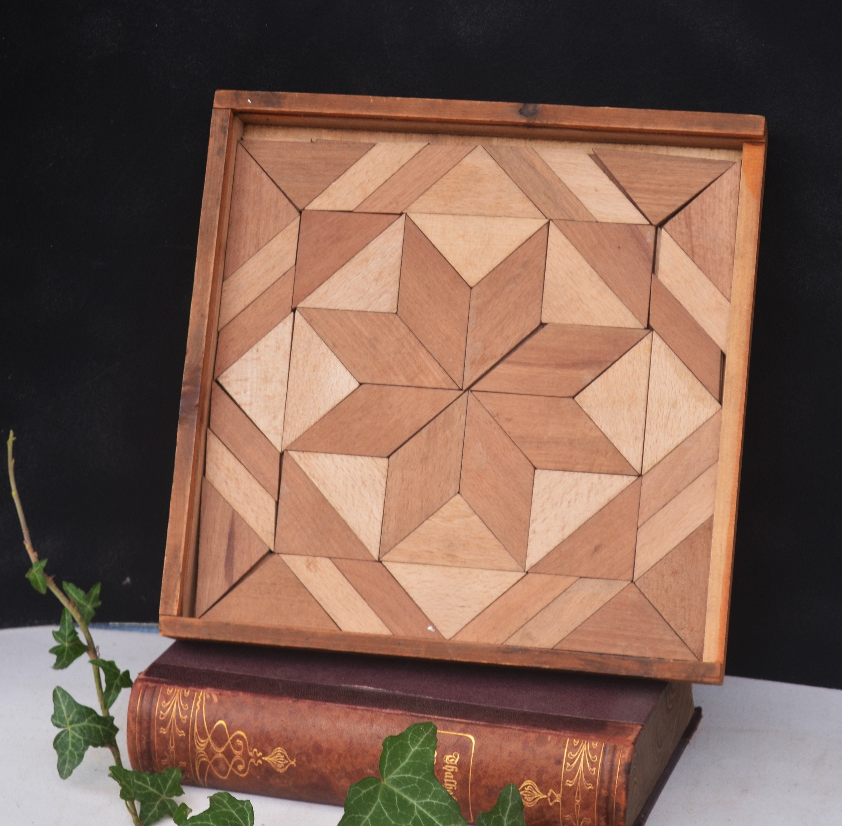 German Late 19th Century Wood Parquetspiel Parquetry Blocks in Original ...