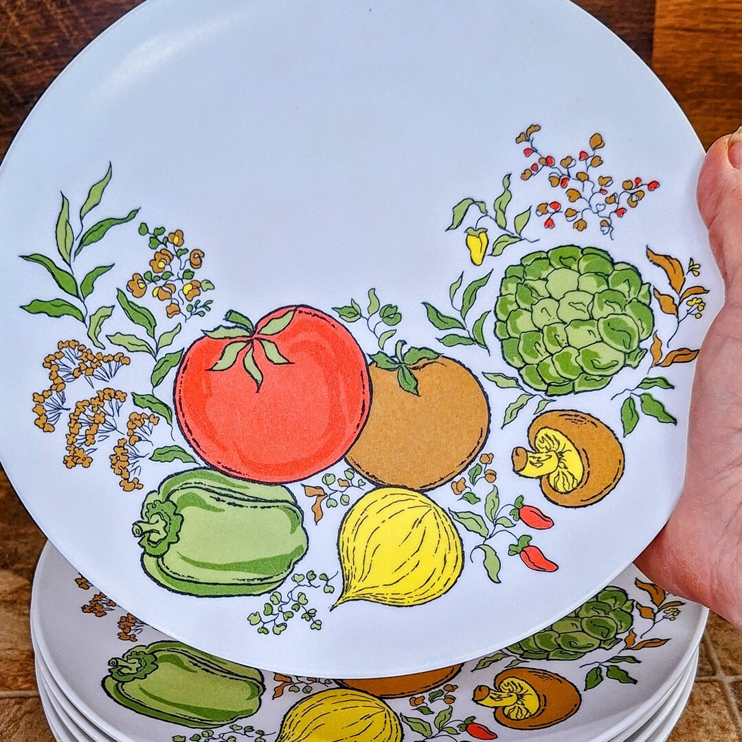 Set of 5 Vintage Melamine Dinner Plates With Spice O Life Style ...