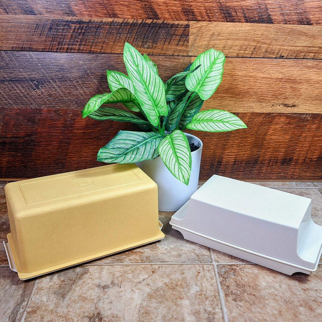 Choose Your Vintage Tupperware Butter Dish | Almond Cheese N Butter ...
