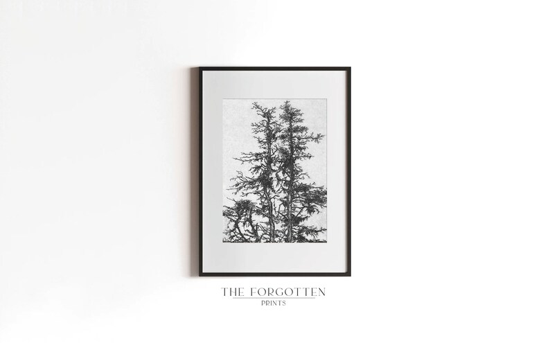 Masculine Tree Print Neutral Wall Art Masculine Wall Art - Etsy