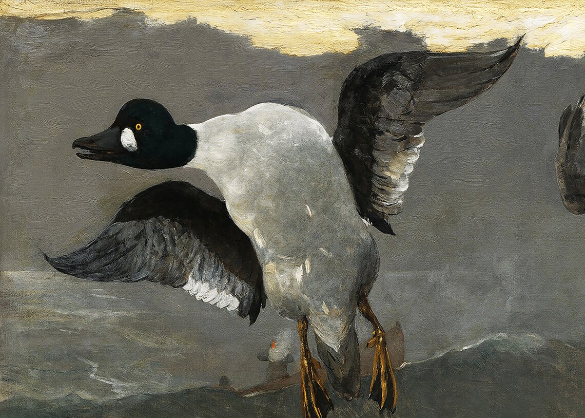Geese Flying Art Print | Men Wall Art | Hunting Wall Prints | Art for ...