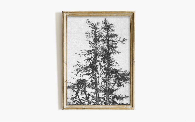 Masculine Tree Print Neutral Wall Art Masculine Wall Art - Etsy