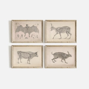 Masculine Wall Art Manly Art Masculine Wall Decor Gallery Wall Prints ...