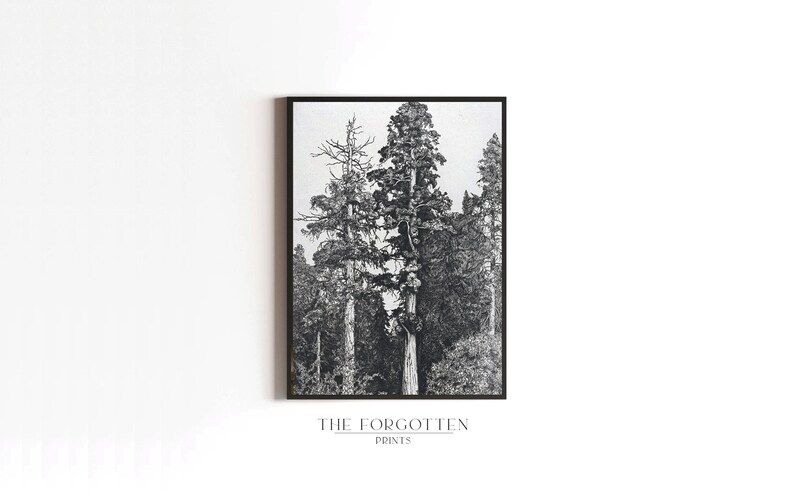 Masculine Tree Print Neutral Wall Art Masculine Wall Art - Etsy