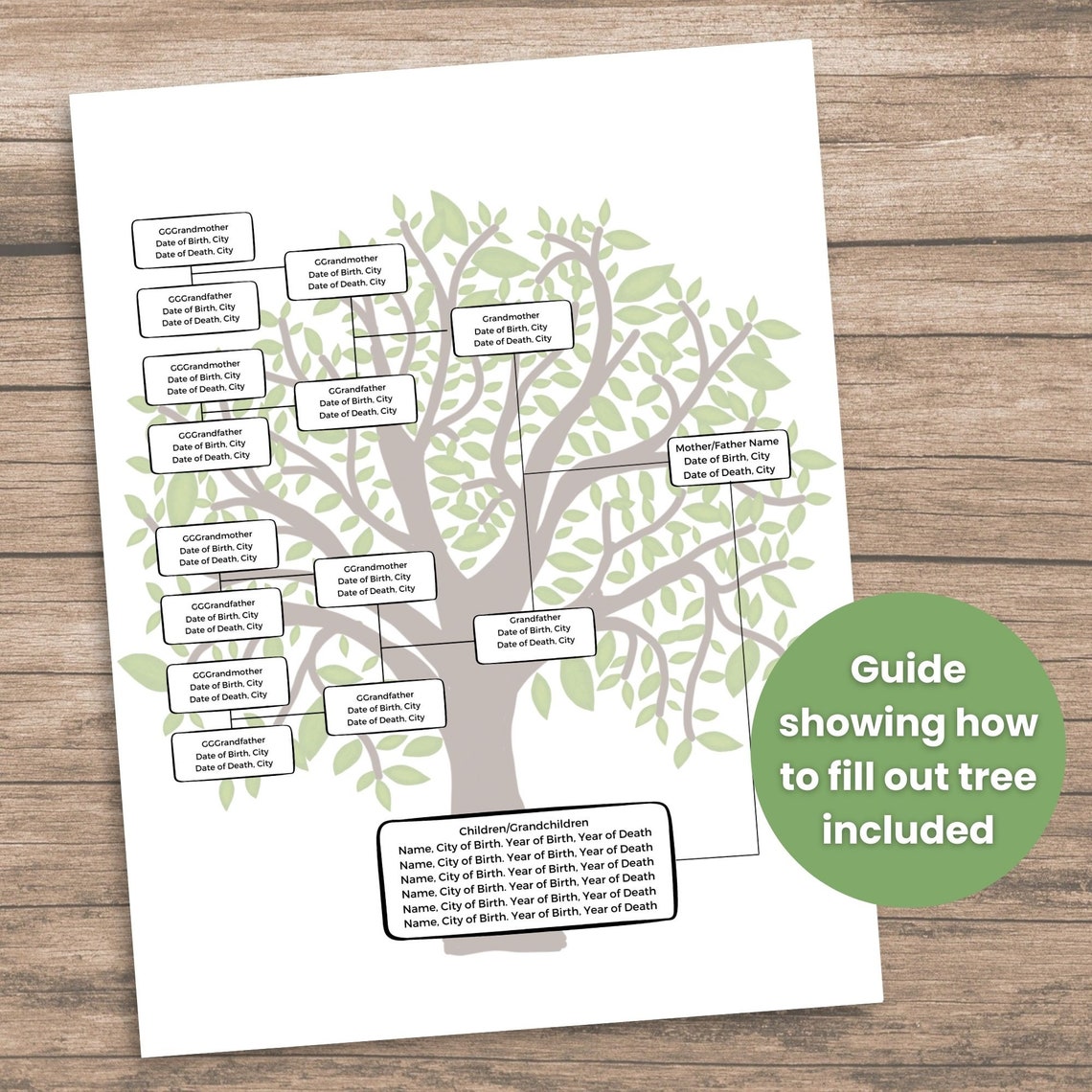 One Parent Line Family Tree 4 Generation, Editable Family Tree Template ...