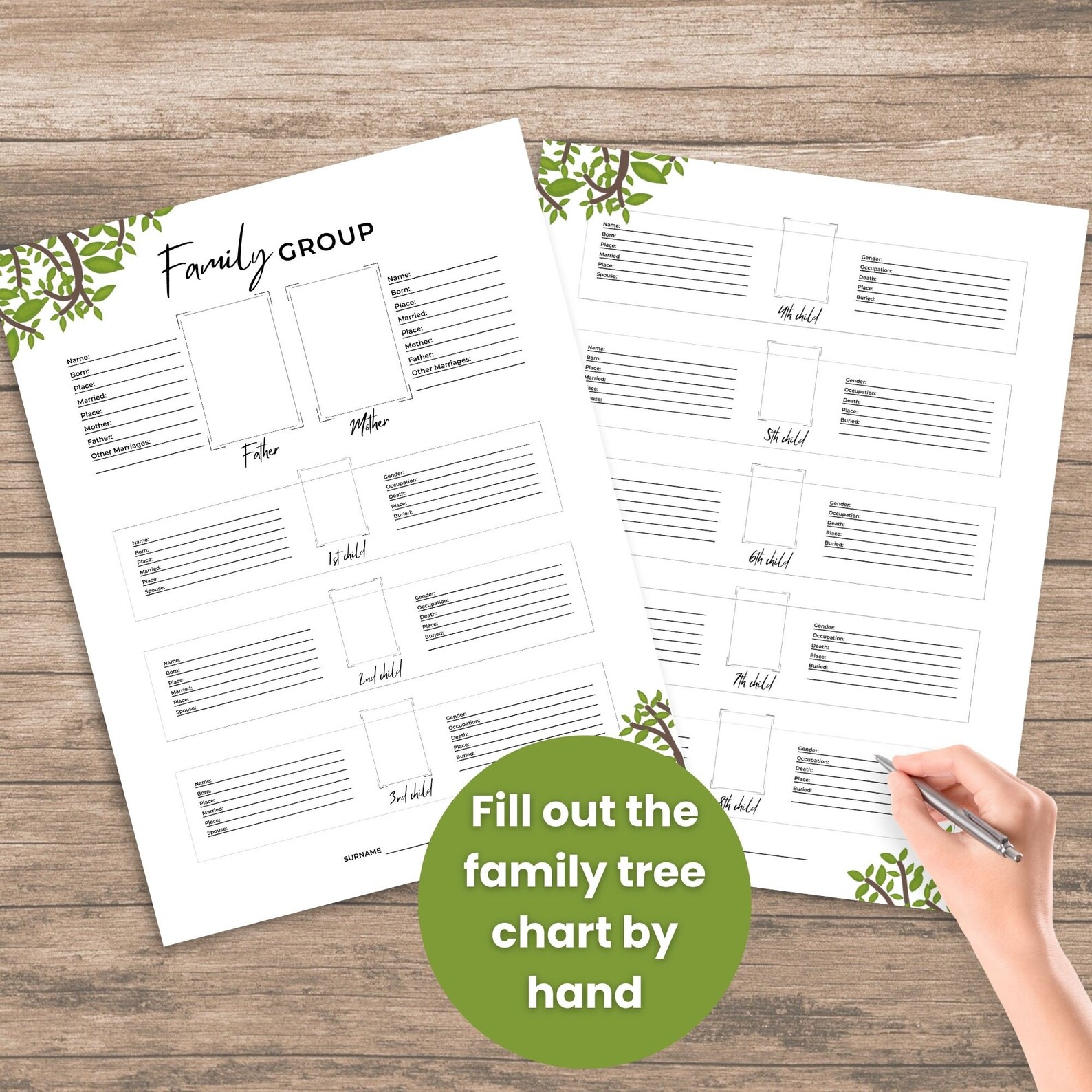 Family Tree Chart Editable Template, Family Tree Template, Family ...