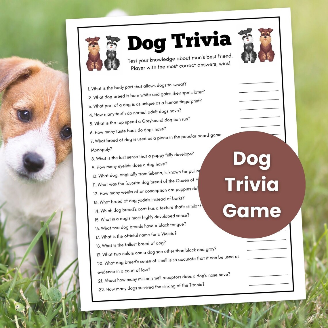 Dog Trivia Game, Dog Party Game, Pet Trivia, Dog Party Activity, Pet ...