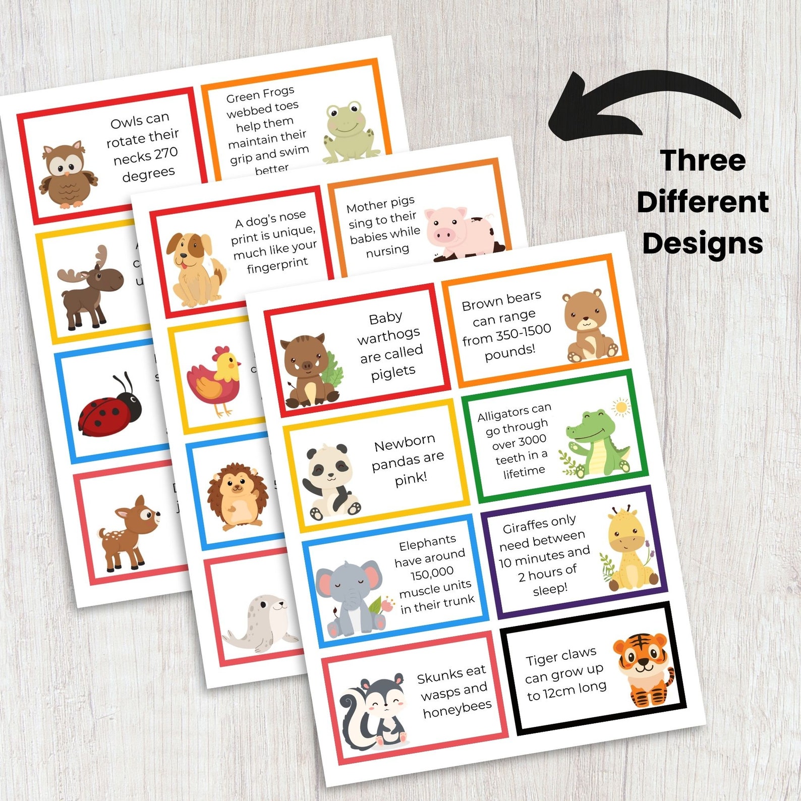 Interesting Animal Facts Lunchbox Notes, Lunch Box Notes for Kids ...