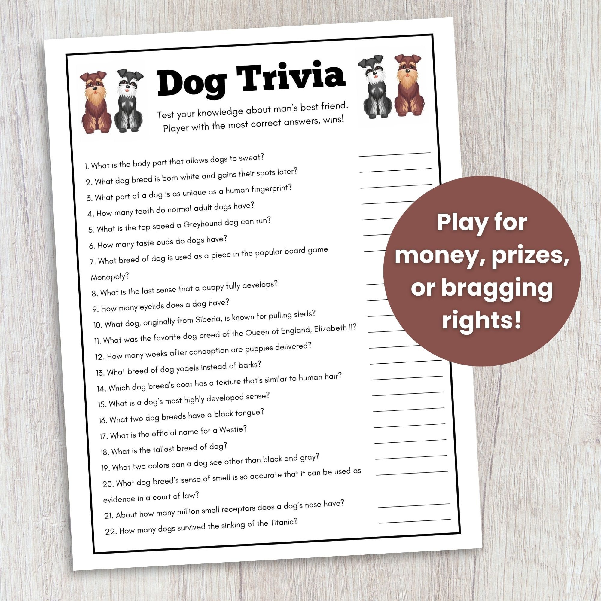 Dog Trivia Game, Dog Party Game, Pet Trivia, Dog Party Activity, Pet ...