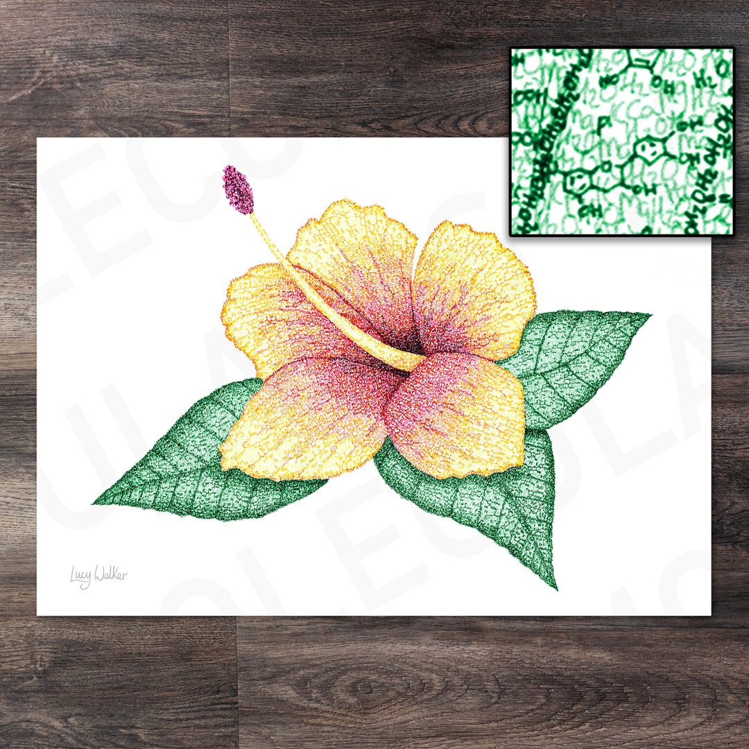 The Hibiscus | Molecule Art | Print | Poster | Science | Chemistry - Etsy