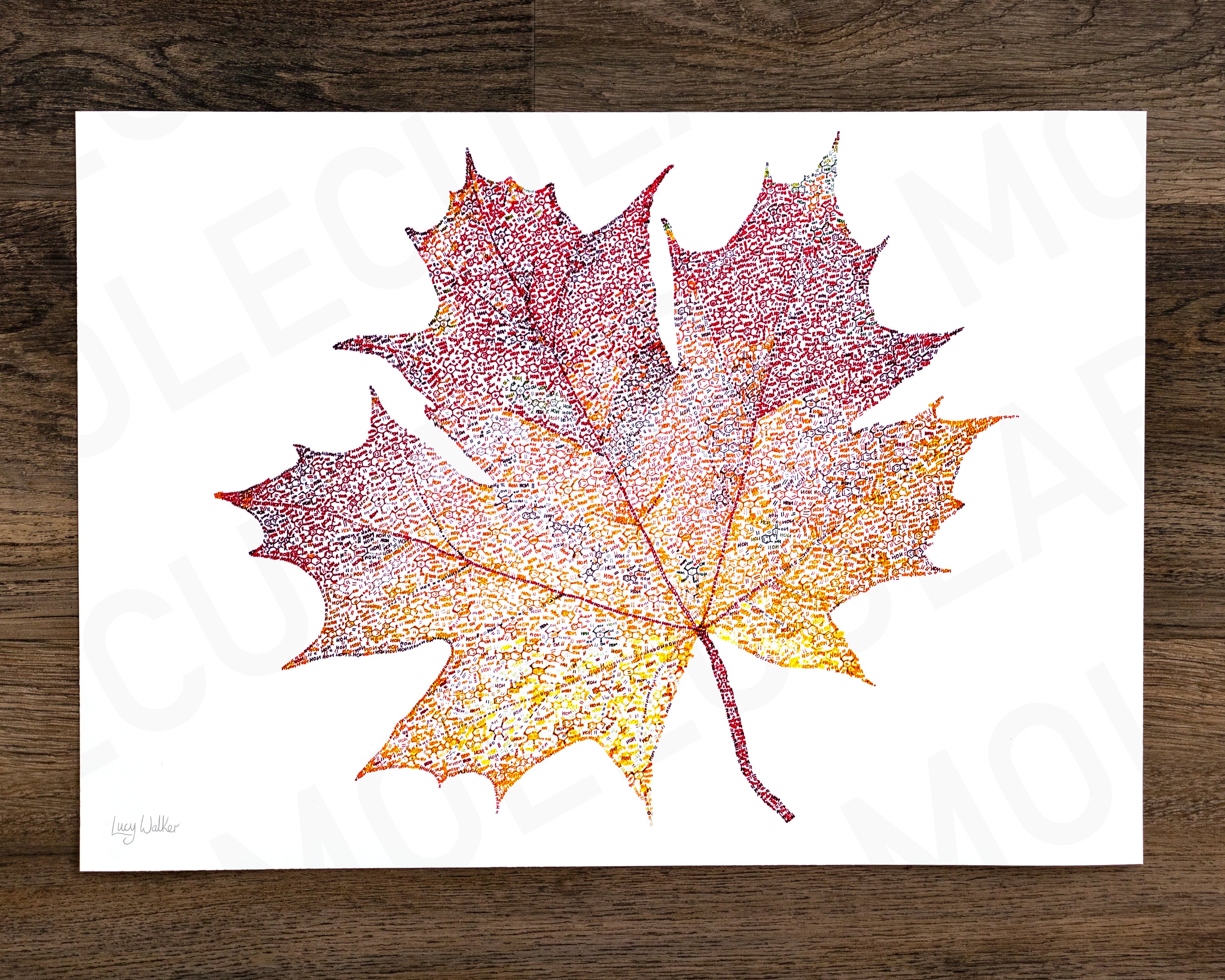 The Leaf | Molecule Art | Print | Poster | Science | Chemistry - Etsy