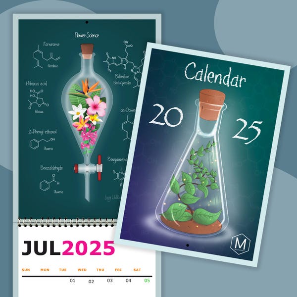 Science Wall Decor - Etsy