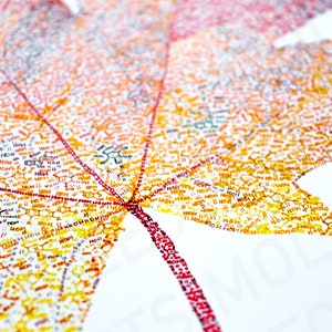 The Leaf | Molecule Art | Print | Poster | Science | Chemistry - Etsy