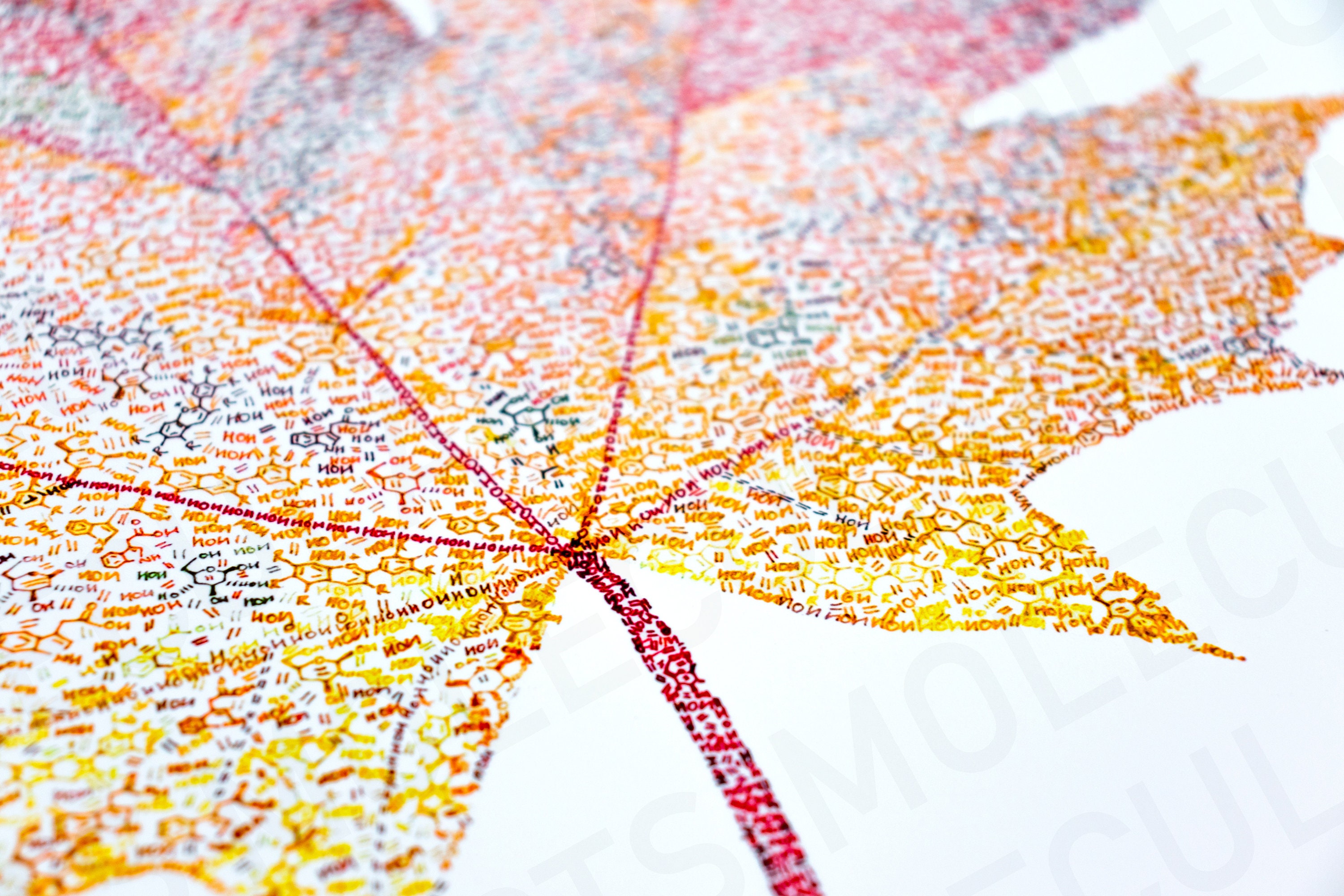 The Leaf Molecule Art Print Poster Science Chemistry - Etsy