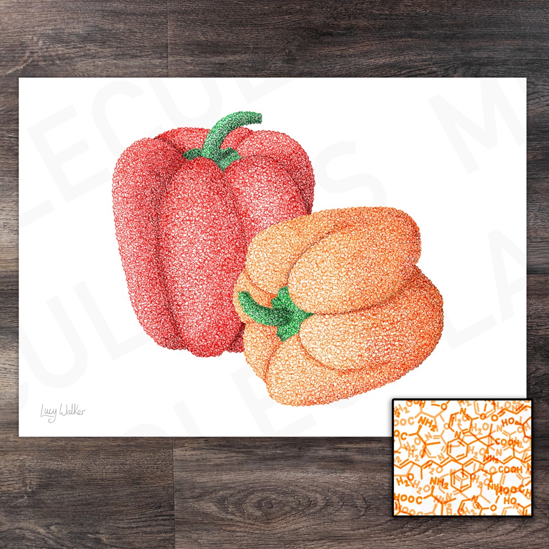 The Peppers Molecule Art Print Poster Science Chemistry Biology - Etsy