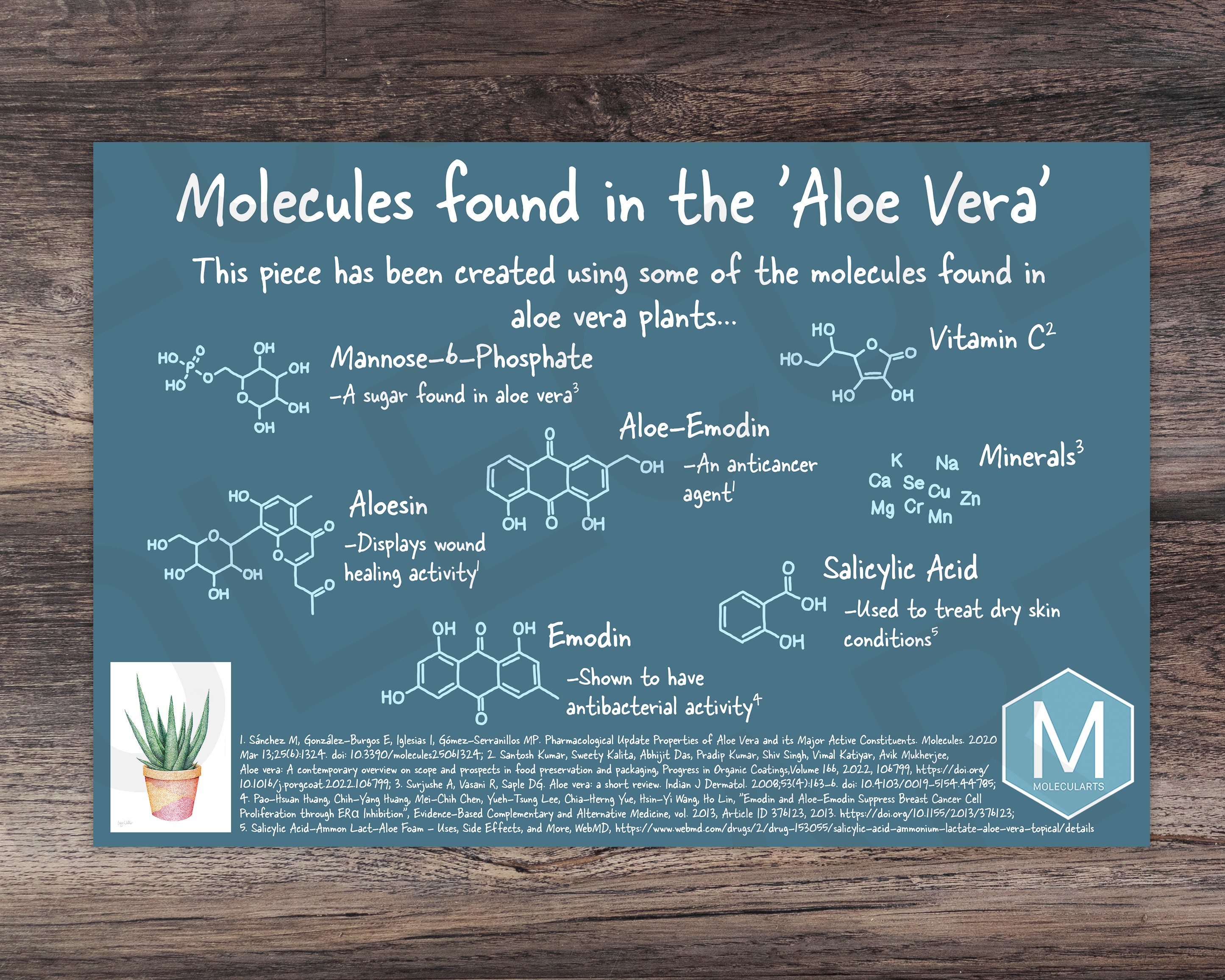 Aloe Vera Molecule Art Print Poster Science - Etsy