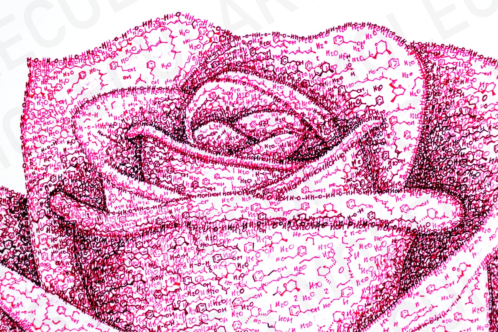 The Rose | Molecule Art | Print | Poster | Science | Chemistry - Etsy