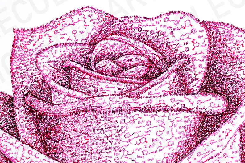 The Rose Molecule Art Print Poster Science Chemistry - Etsy