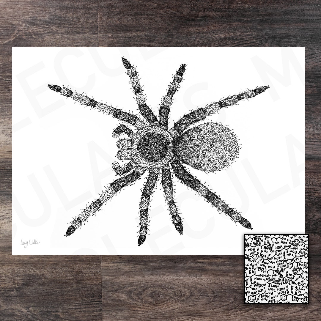 The Spider | Molecule Art | Print | Poster | Science | Chemistry - Etsy