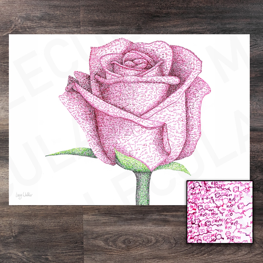 The Rose | Molecule Art | Print | Poster | Science | Chemistry - Etsy