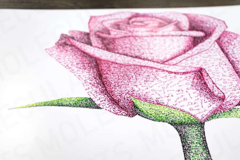 The Rose Molecule Art Print Poster Science Chemistry - Etsy