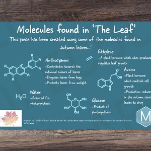 The Leaf | Molecule Art | Print | Poster | Science | Chemistry - Etsy