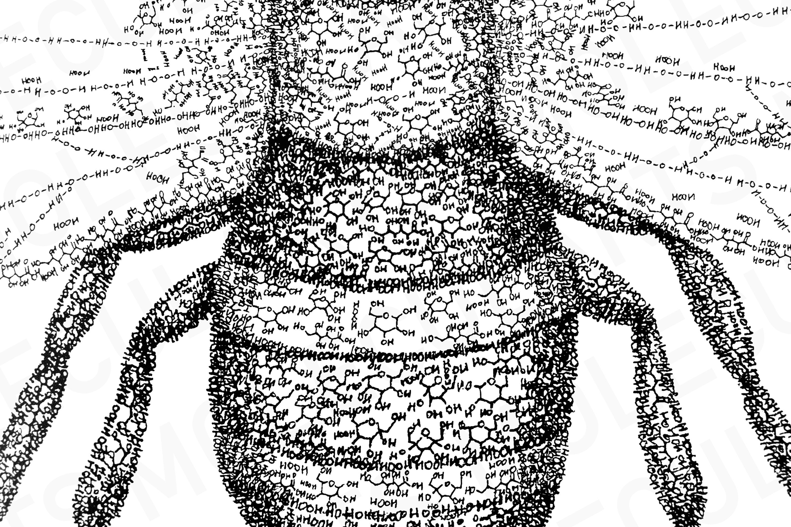 The Bee Molecule Art Print Poster Science Chemistry - Etsy