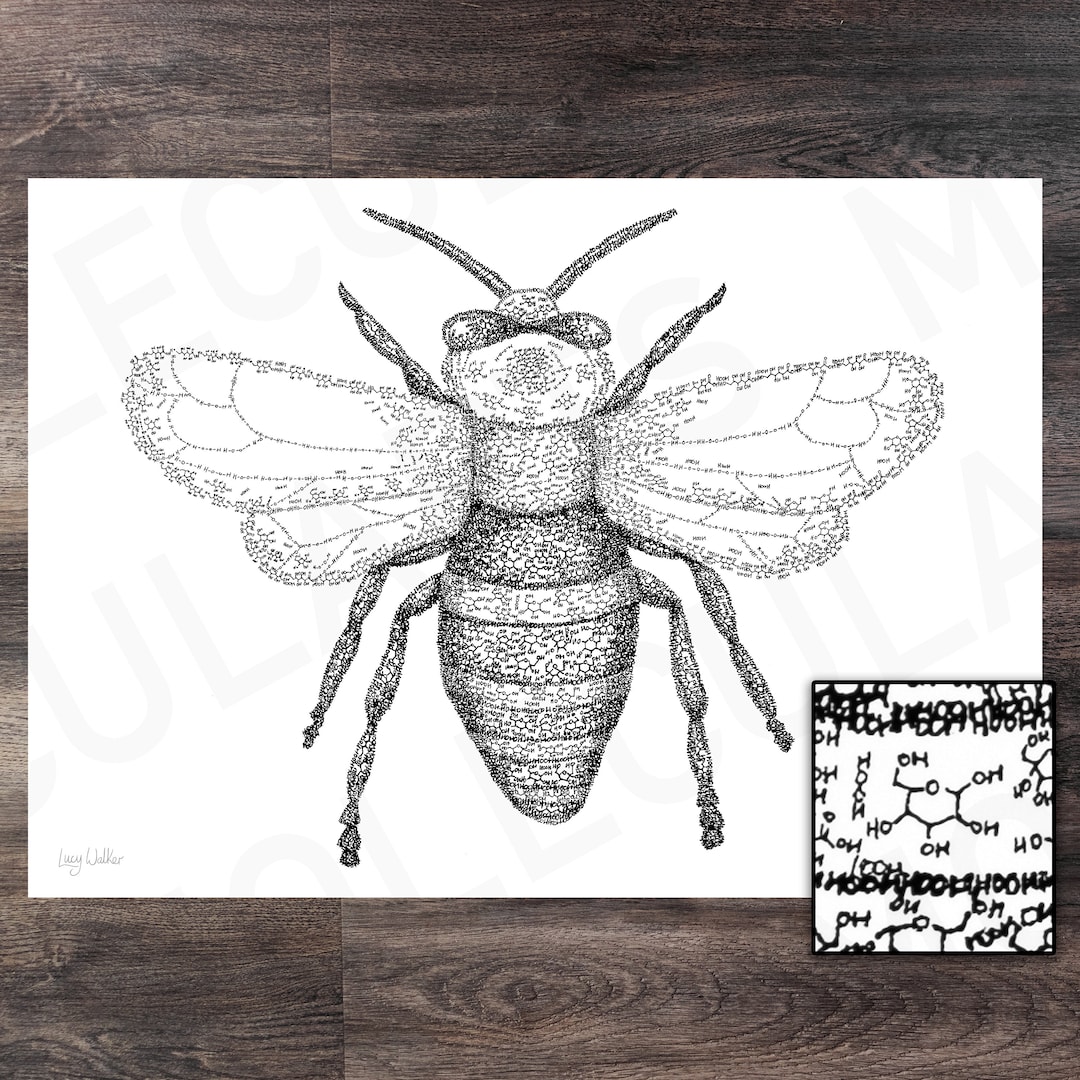 The Bee | Molecule Art | Print | Poster | Science | Chemistry - Etsy