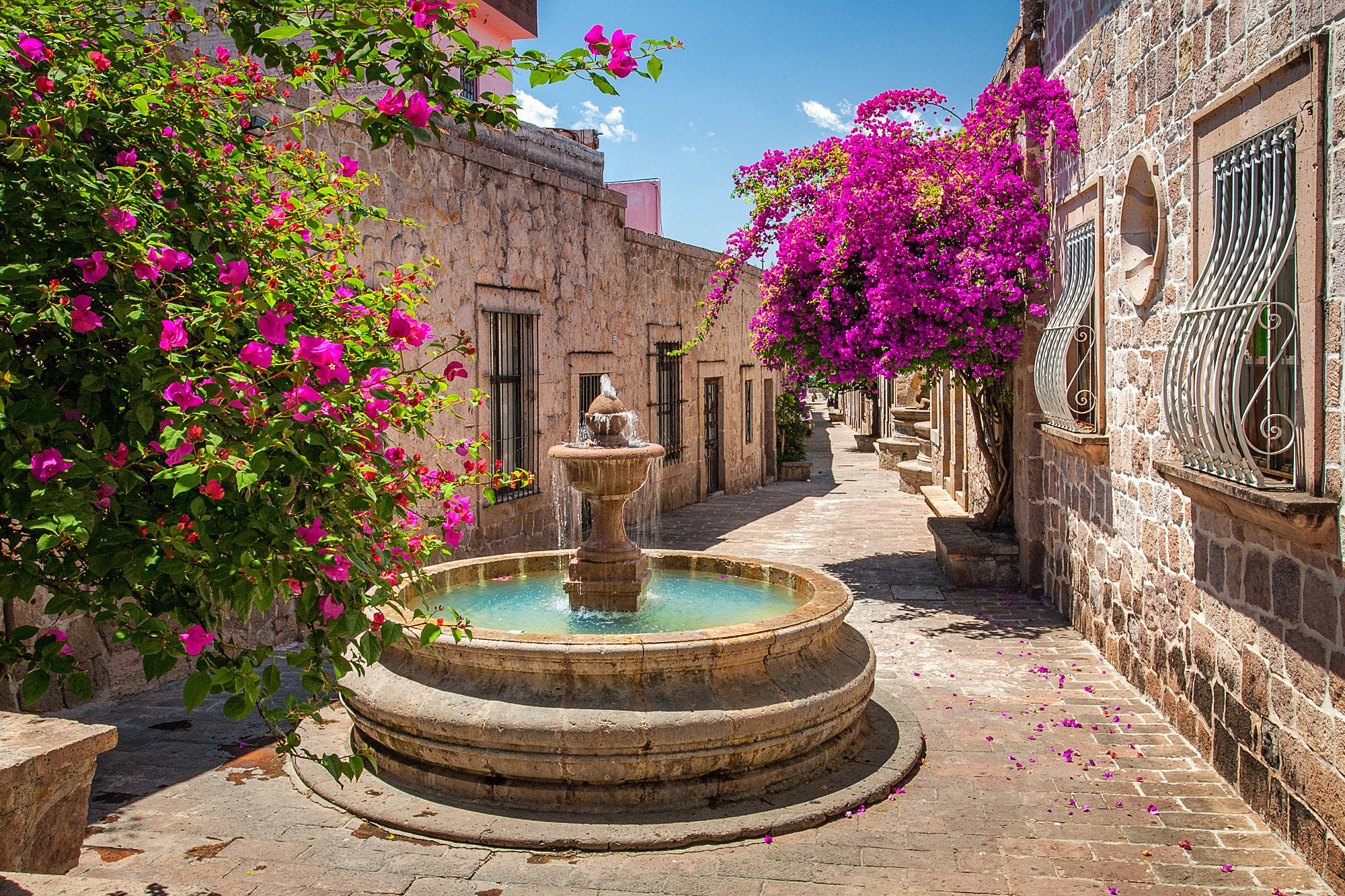 Morelia Mexico Colonial Walkway Fountain-photo Photograph-purple ...