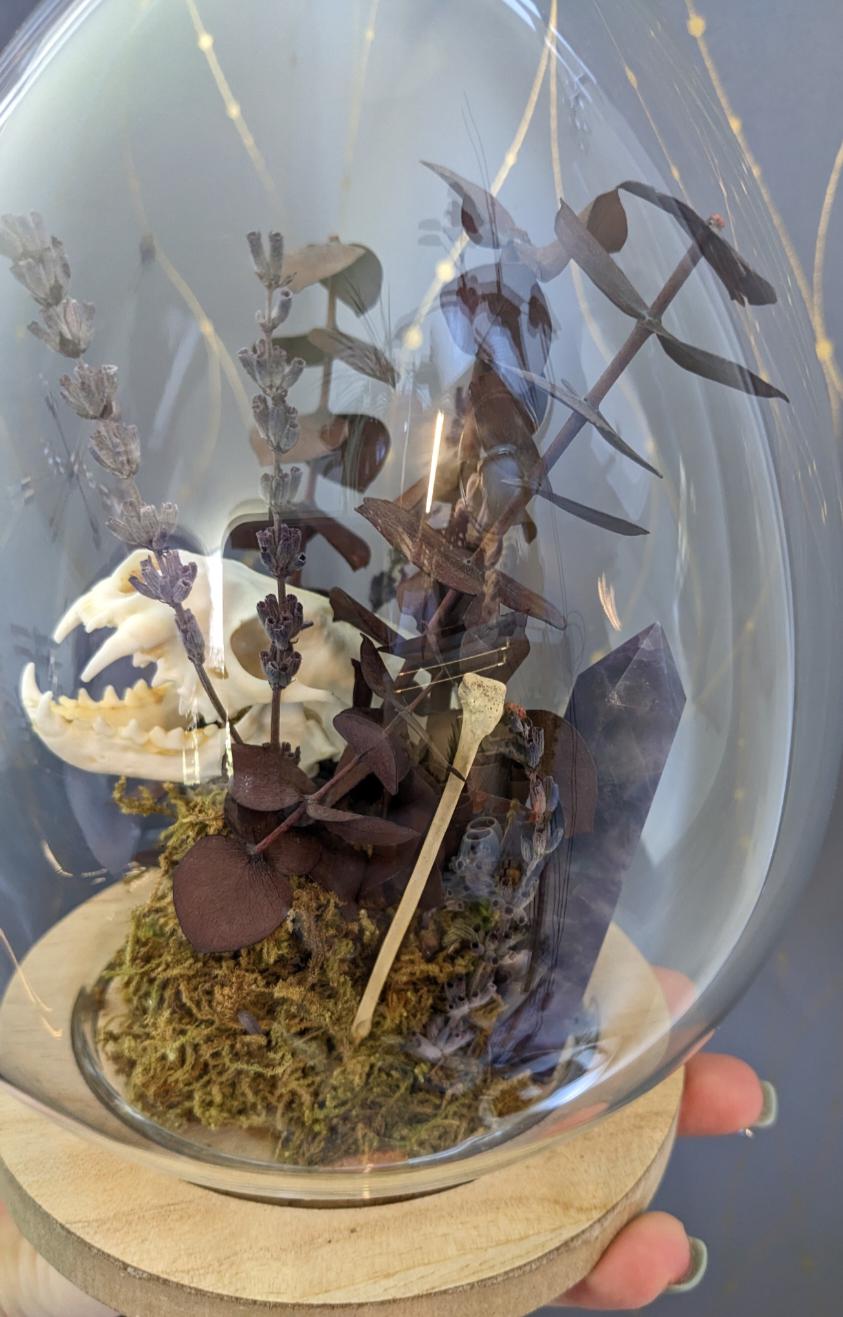 Weasel Skull Terrarium Display - Etsy