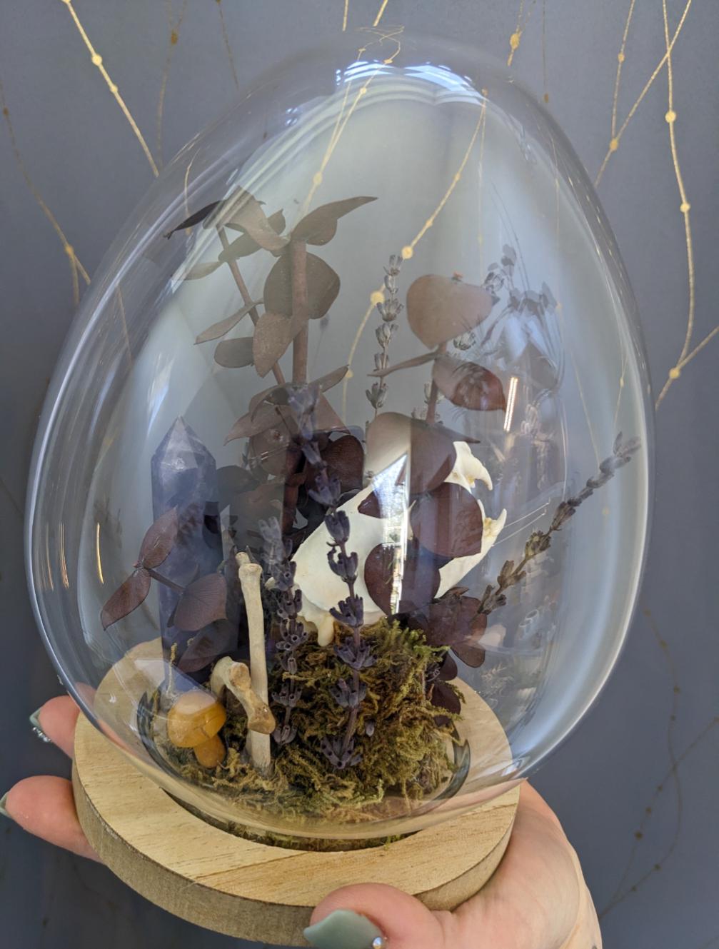 Weasel Skull Terrarium Display - Etsy