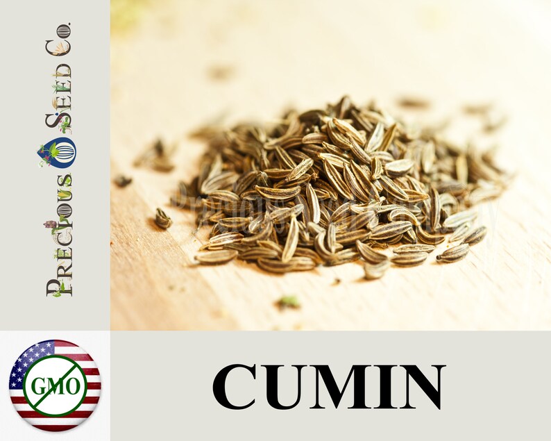 Heirloom Cumin Seeds - Common (non-gmo) - Etsy