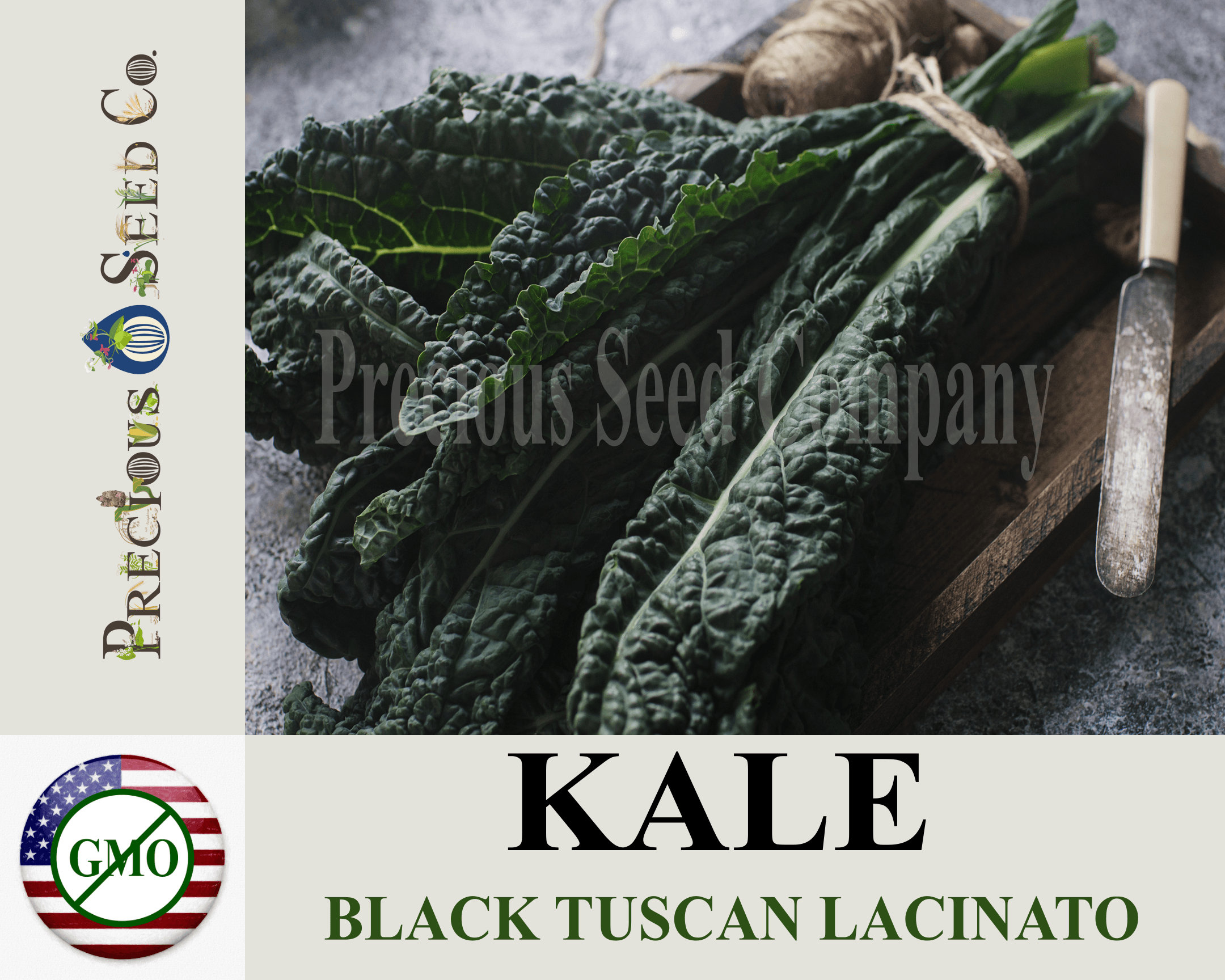 Heirloom Kale Seeds - Black Tuscan Lacinato (organic) - Etsy