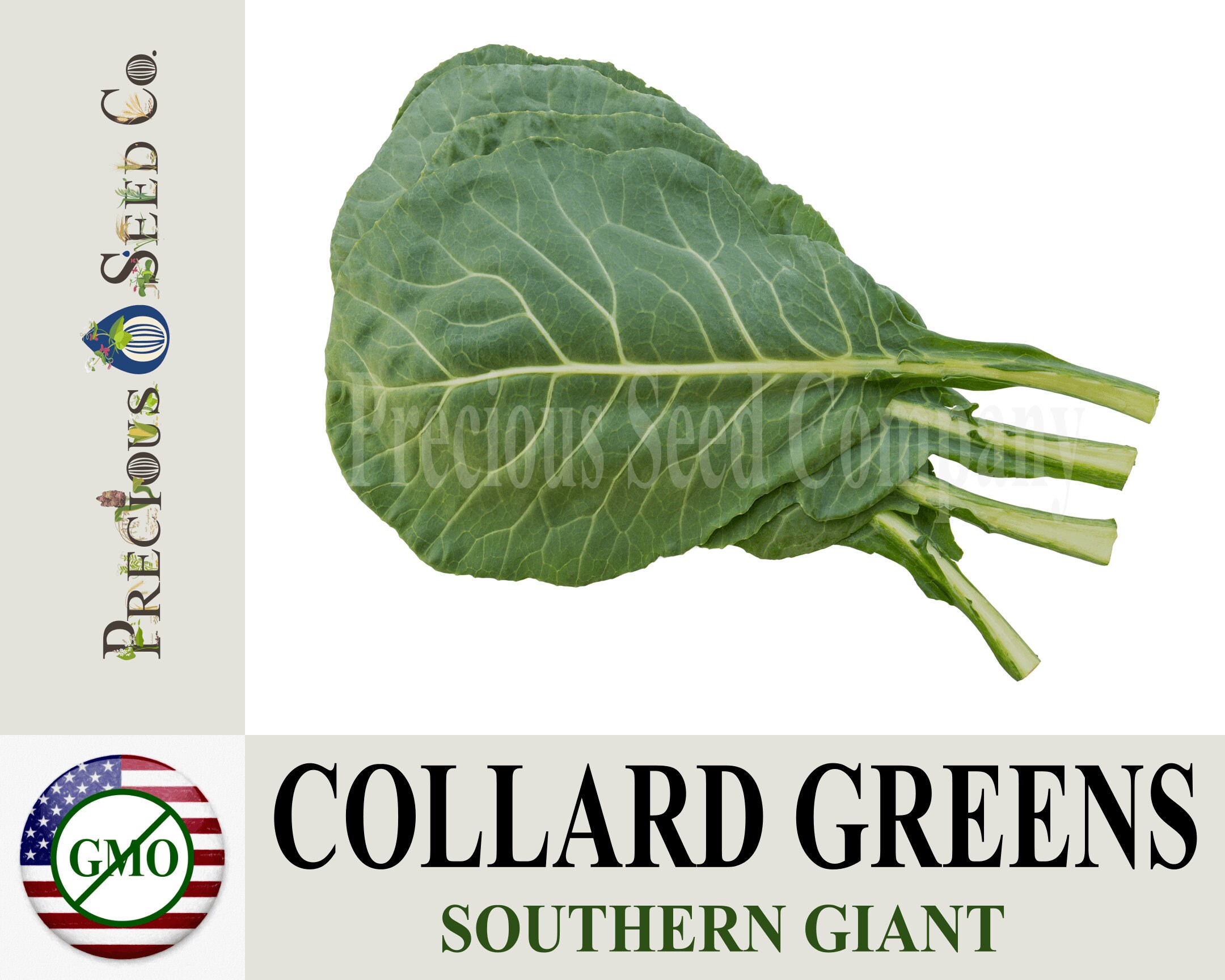 Heirloom Collard Green Seeds - Southern Giant (non-gmo) - Etsy