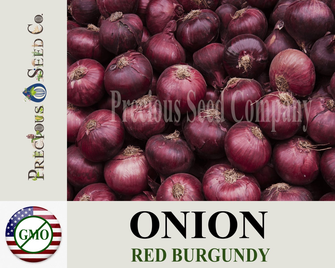 Heirloom Onion Seeds - Red Burgundy - Etsy