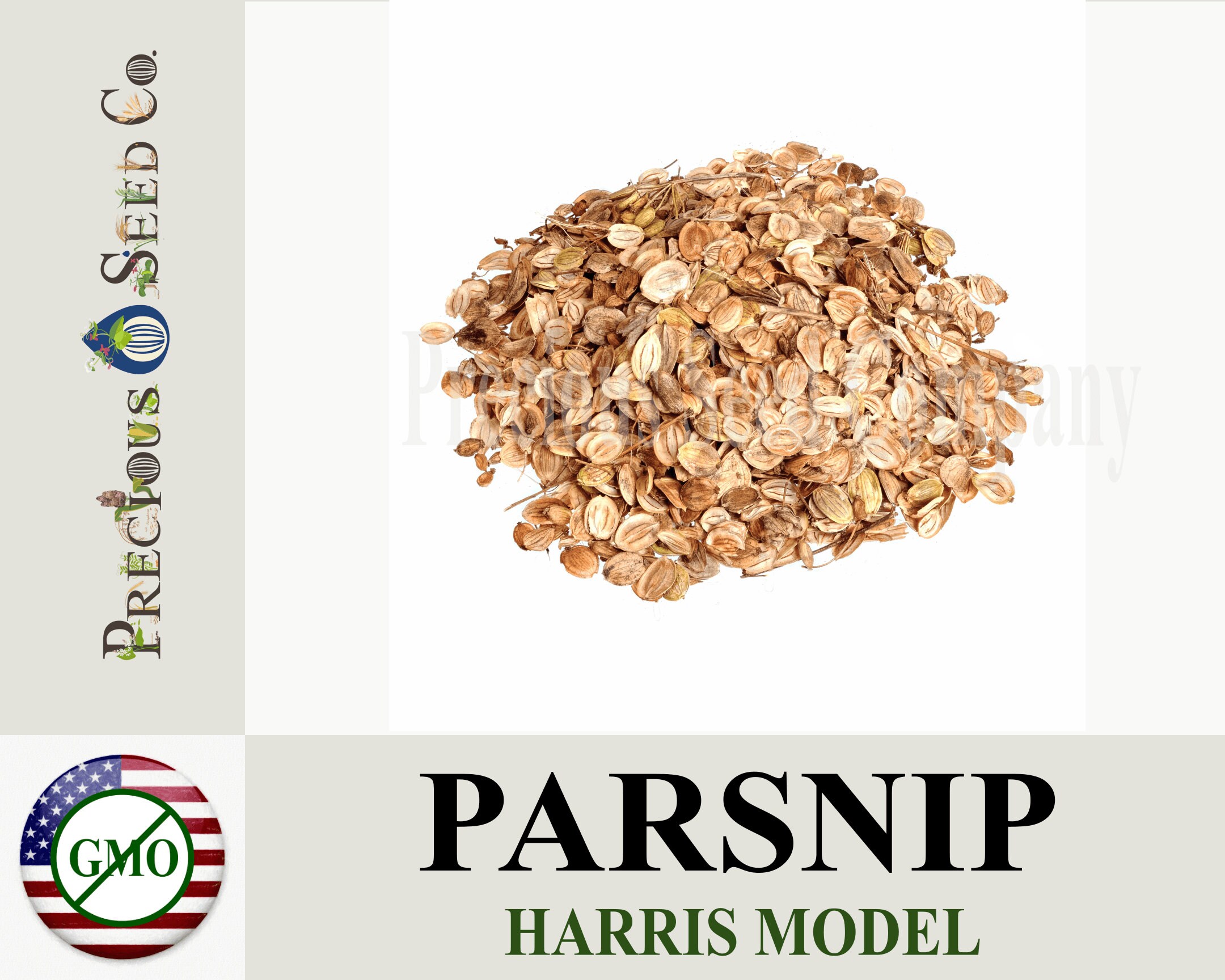 Heirloom Parsnip Seeds - Harris Model - Etsy