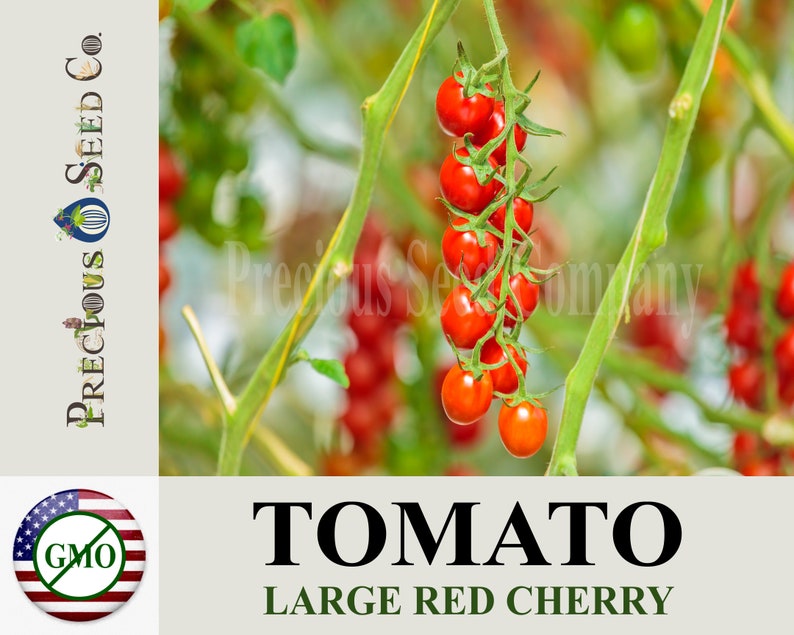 Heirloom Tomato Seeds - Large Red Cherry (non-gmo) - Etsy