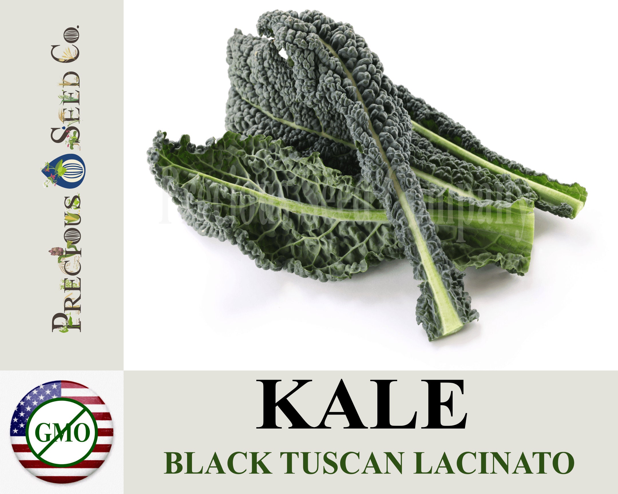 Heirloom Kale Seeds - Black Tuscan Lacinato (organic) - Etsy