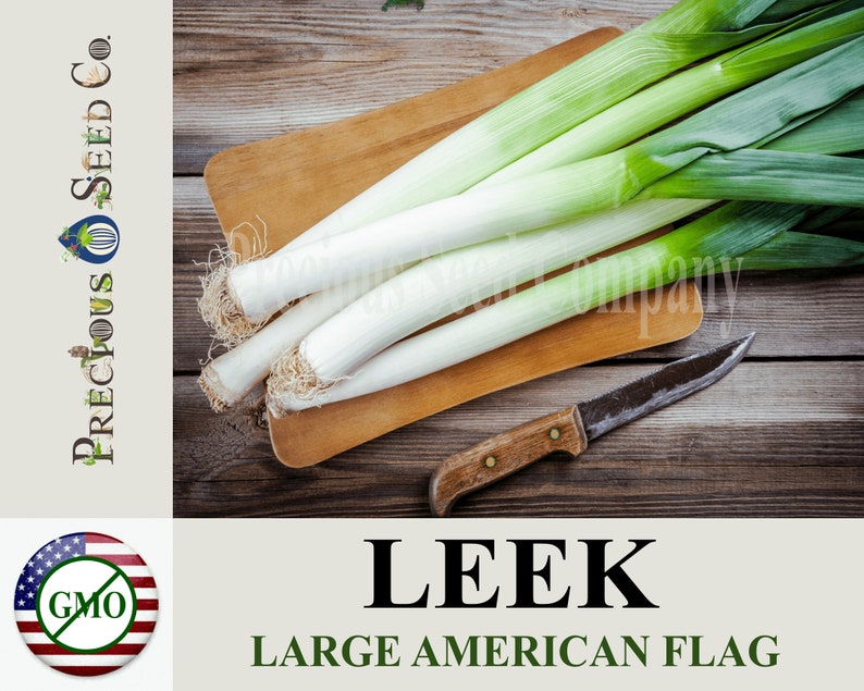 Heirloom Leek Seeds - Large American Flag (non-gmo) - Etsy